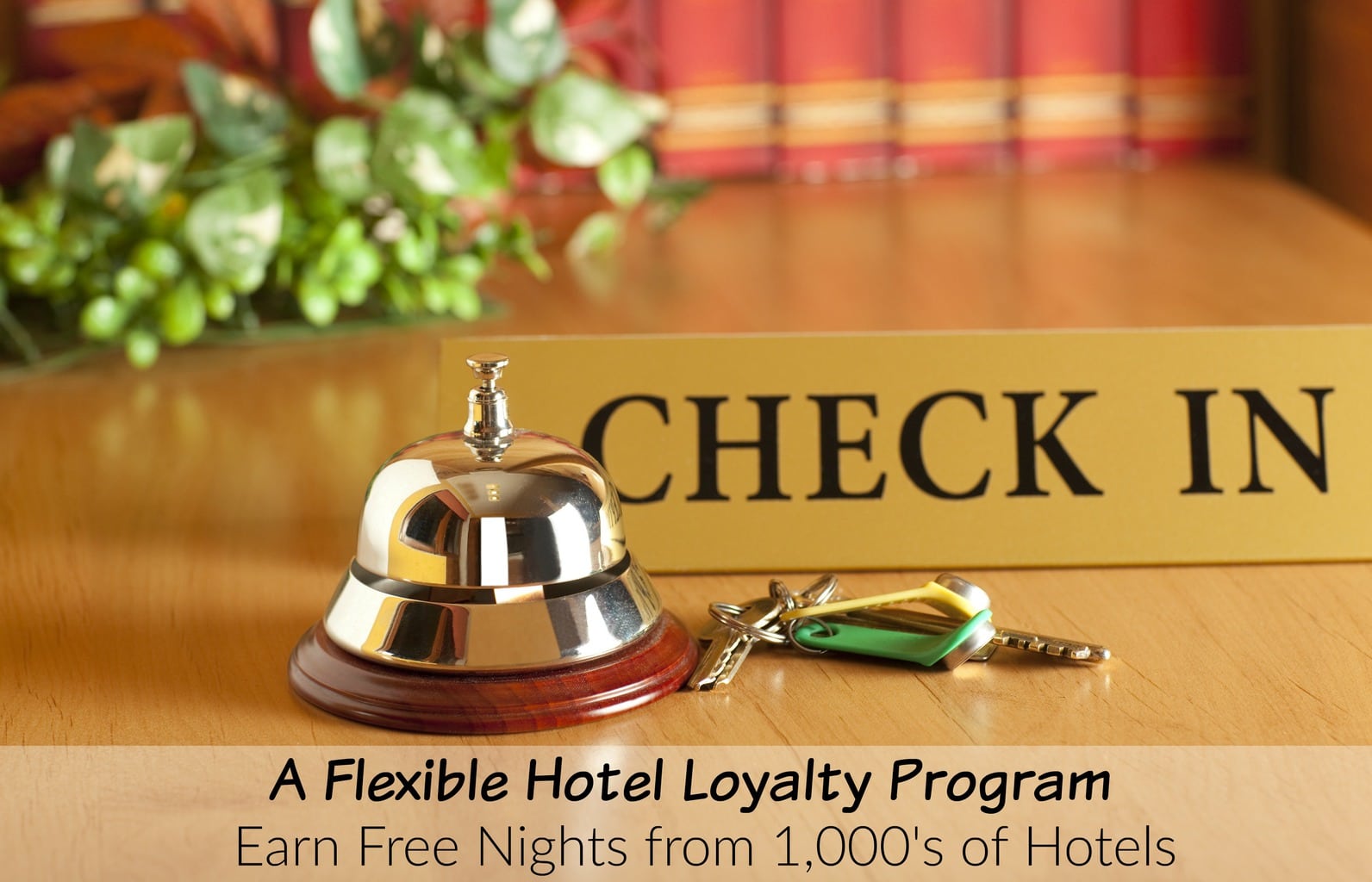 A Hotel Reward Loyalty Program That Includes all of the Major Chains