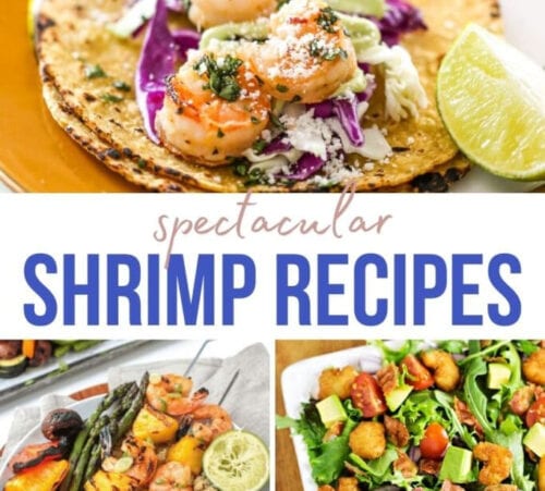 Shrimp Recipes - New Ideas for Easy Meals