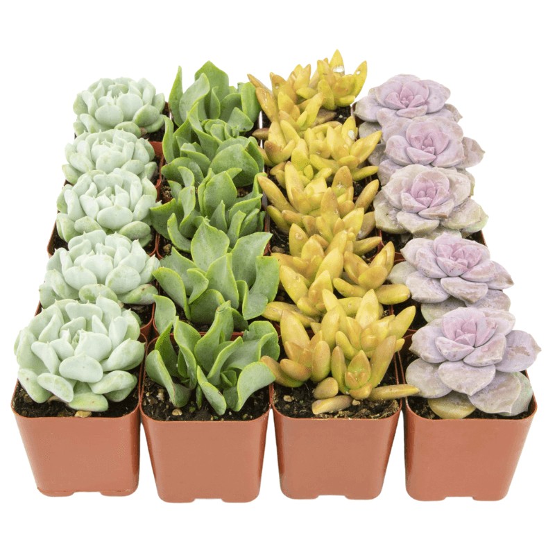 Walmart's Clearance Outlet - Amazing Deals