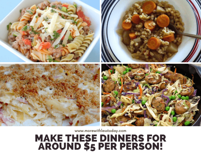 Make These Dinners for Under $5 - Tasty, Cheap and Easy Meals!